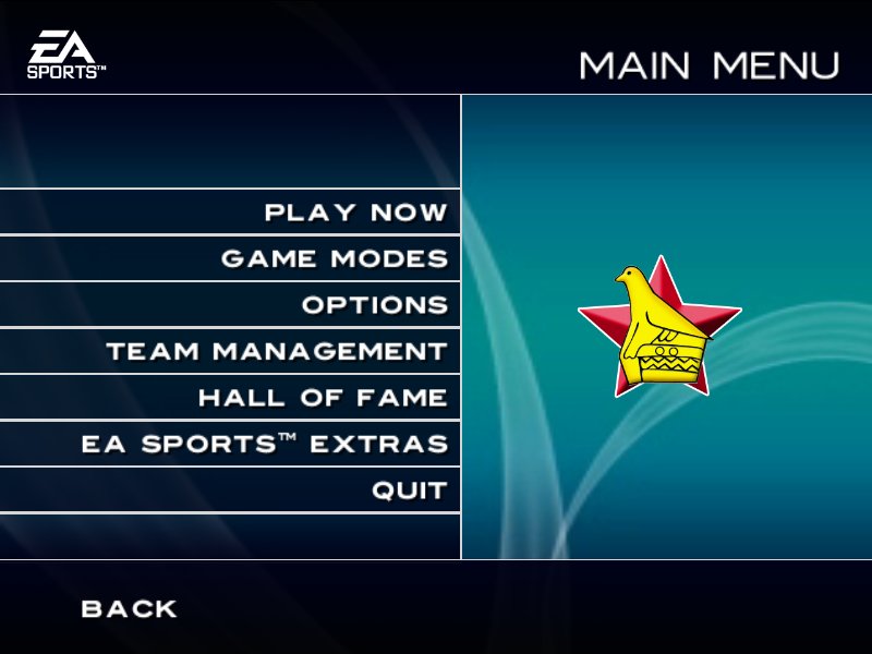 CRICKET 2004