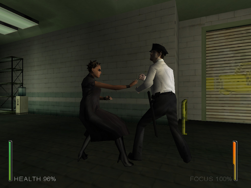 ENTER THE MATRIX